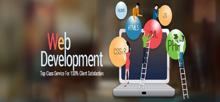 Custom Website Designing Can do Wonders for Business